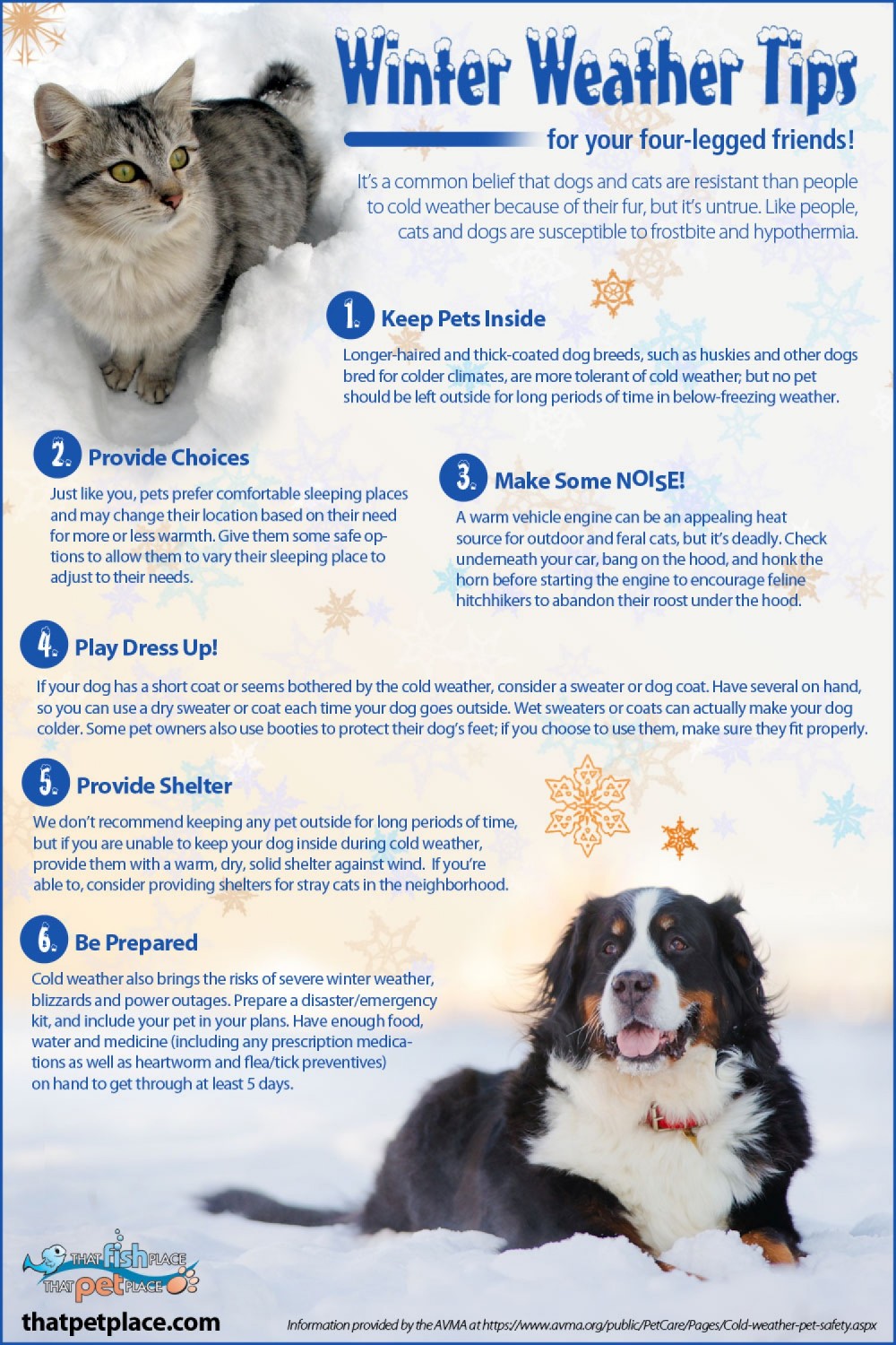 Cold Weather Safety Knapp Vet Hospital Columbus OH Cold Weather Safety Knapp Vet Hospital Columbus OH